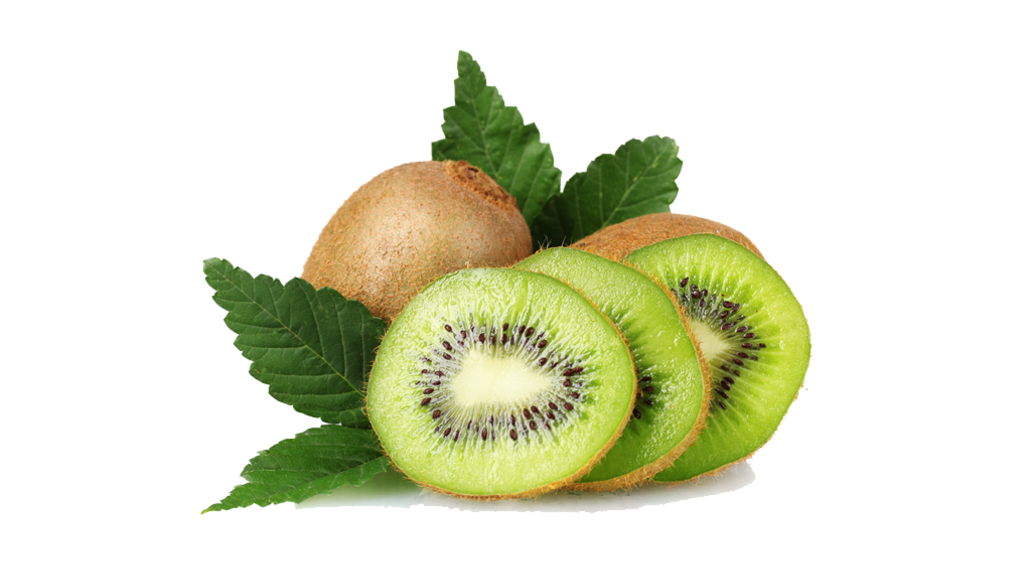 Kiwi – elixirbio.in