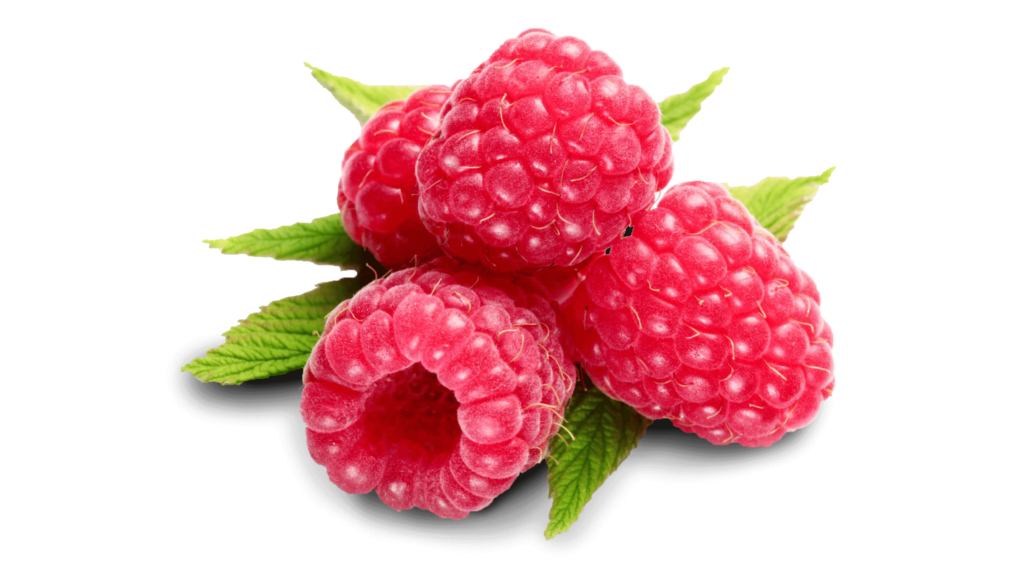 Raspberry (Indian) (80 Grams) – elixirbio.in